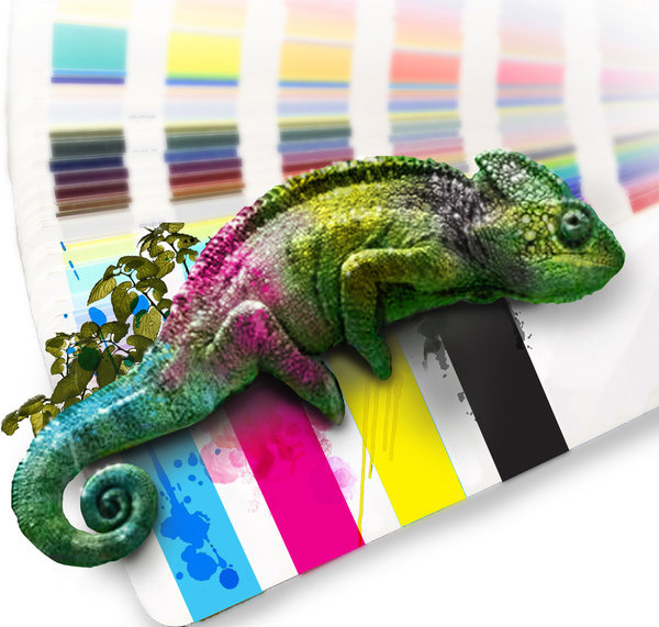 Amazing CMYK Inspired Designs