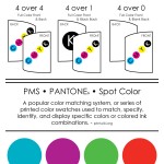 Printing Terms Infographic - Color Quick Guide